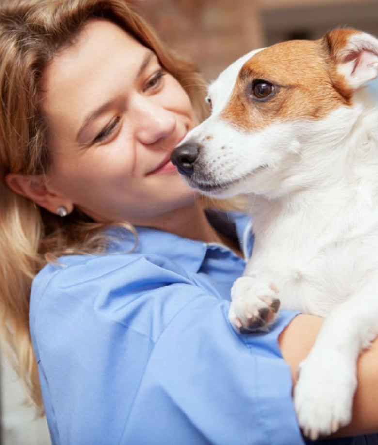 Veterinary Chemotherapy | Burwood & Bay Veterinary Hospital | Quality ...